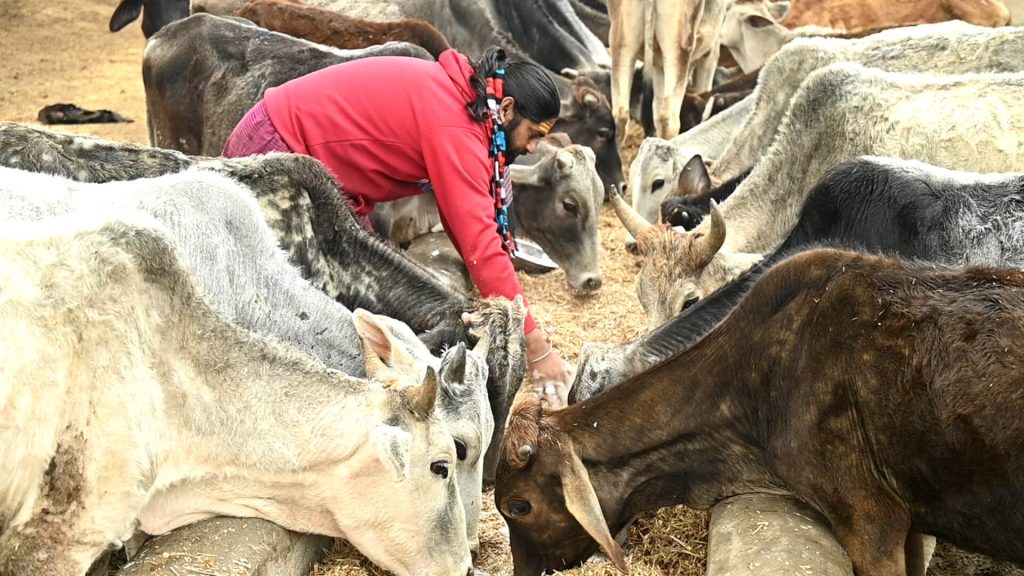 Home - True Hope Foundation